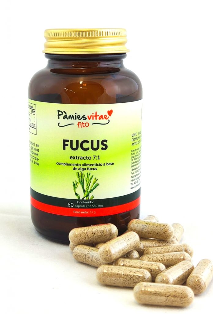 FUCUS PV (60 capsulas) – Tienda Dulce Revolución oficial